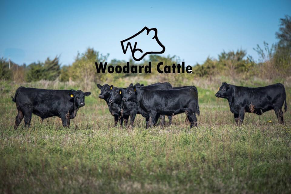 Woodard Cattle Company